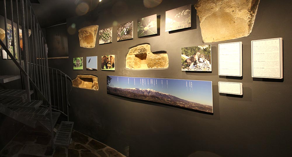 Cavallone Easy - Museo delle Grotte del Cavallone